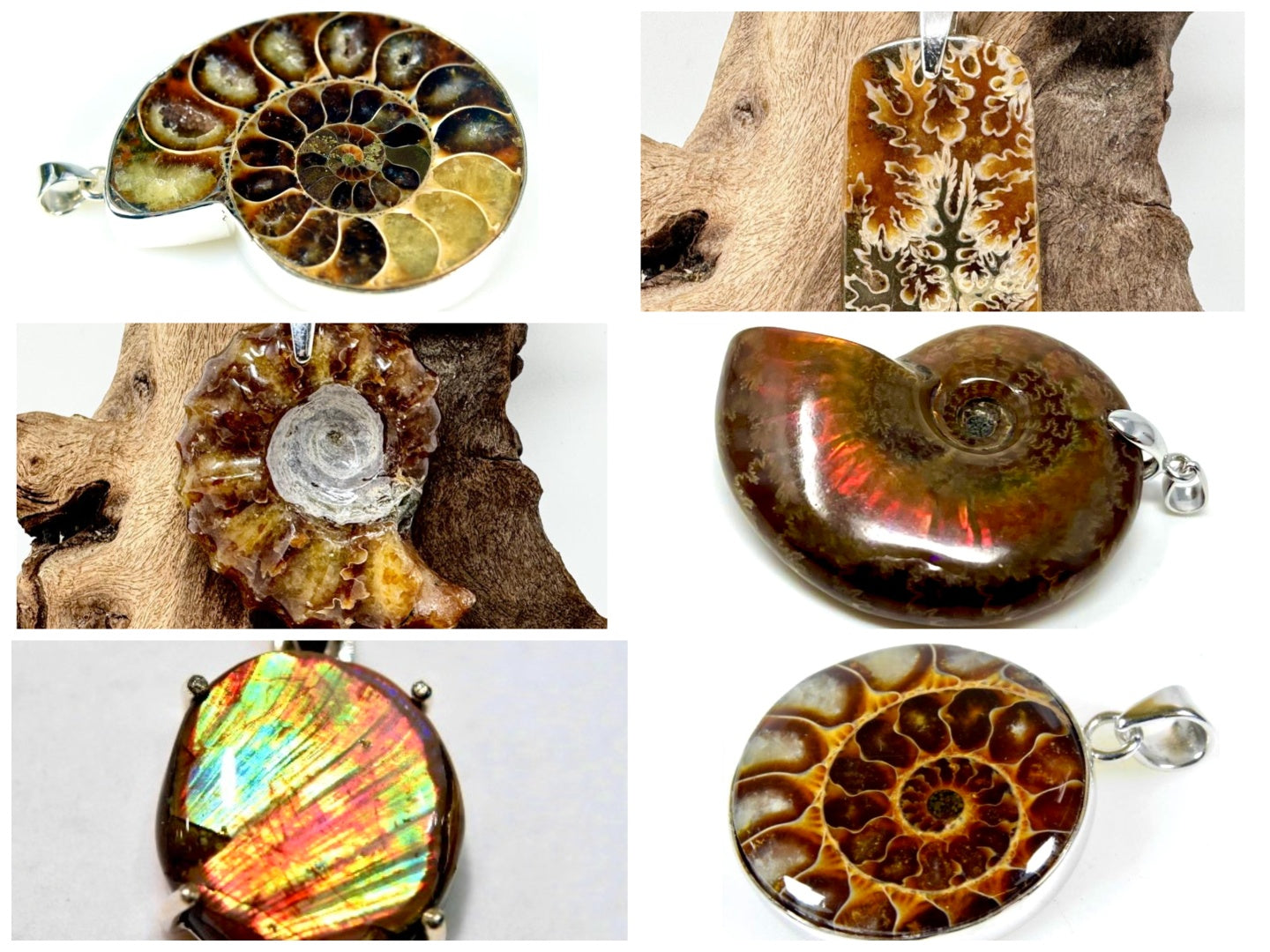 Ammonite Pendants | Ammonite Jewellery For Sale – Madagascan Direct