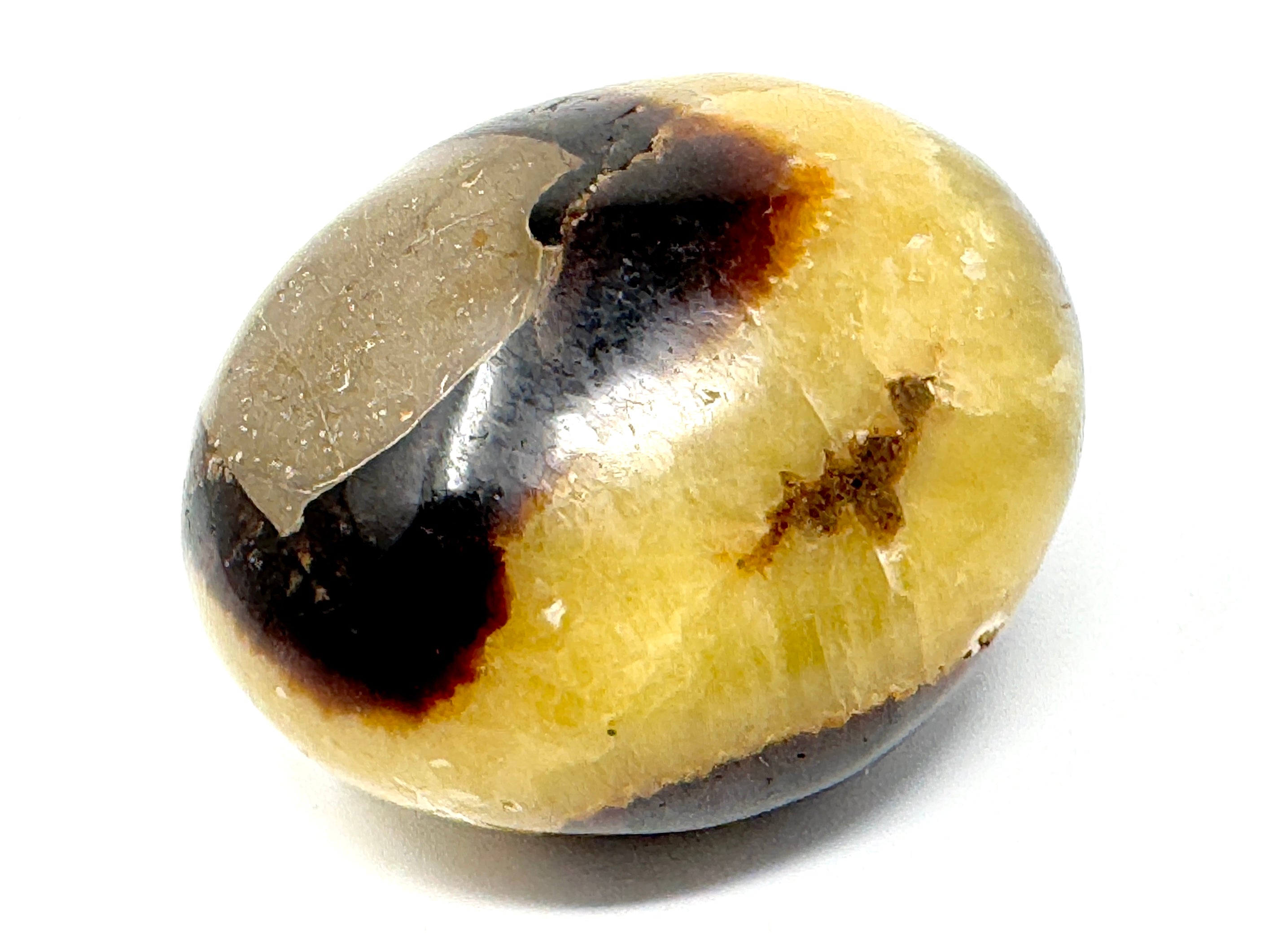 Yellow Septarian Palm Stone | Shop Yellow Septarian For Sale Online ...