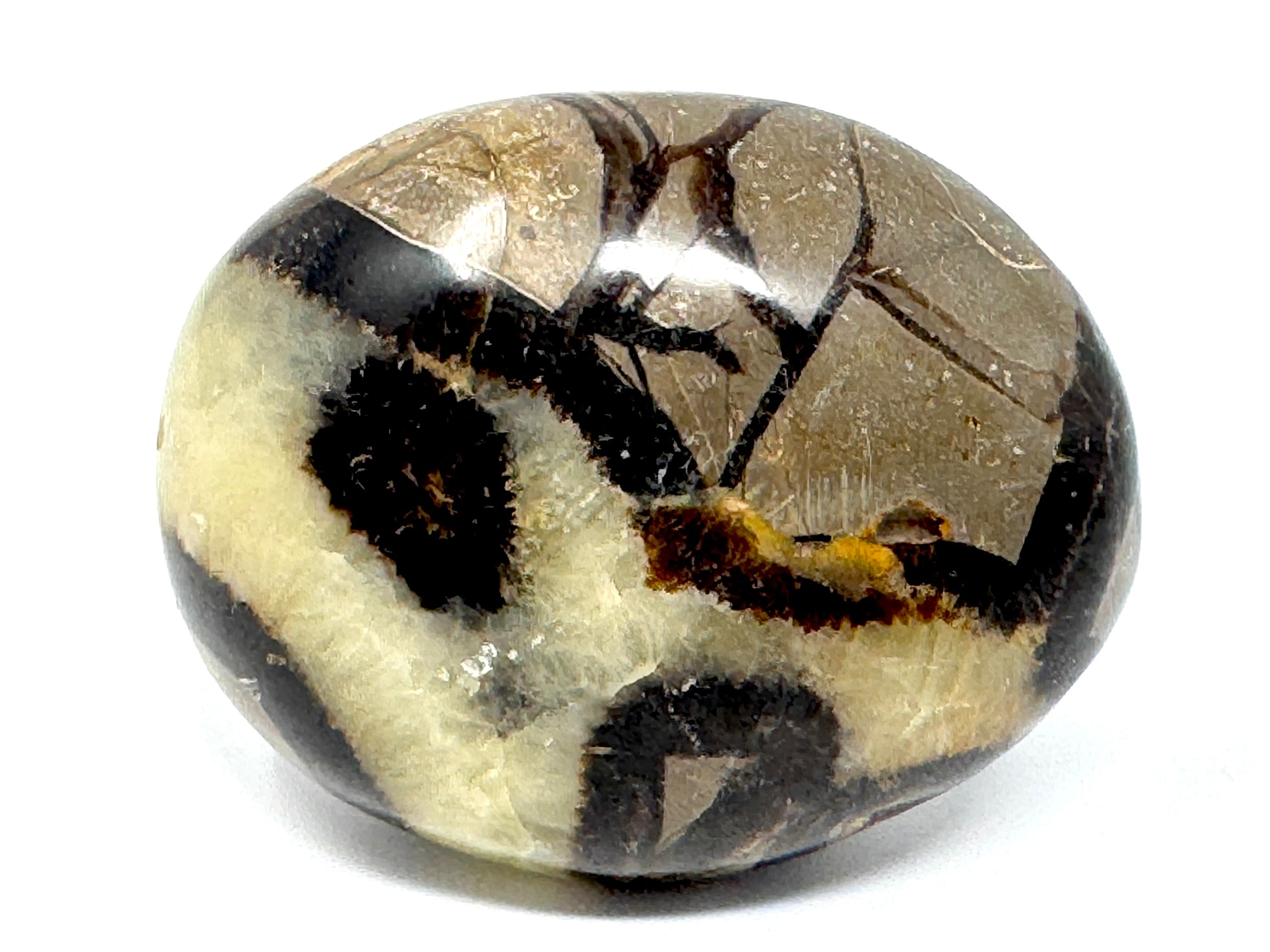 Yellow Septarian Pebble | Yellow Septarian Crystals For Sale ...